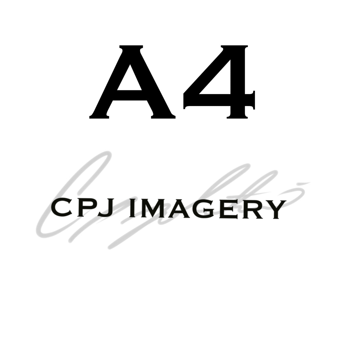 A4 Sized Commissioned Drawing – CPJ Imagery